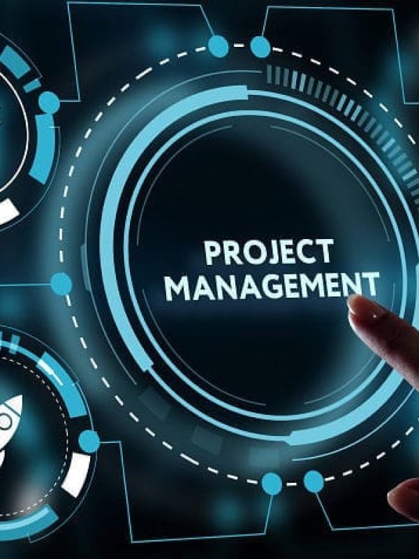 The Future of Project Management: Adapting to Change with the Right ...